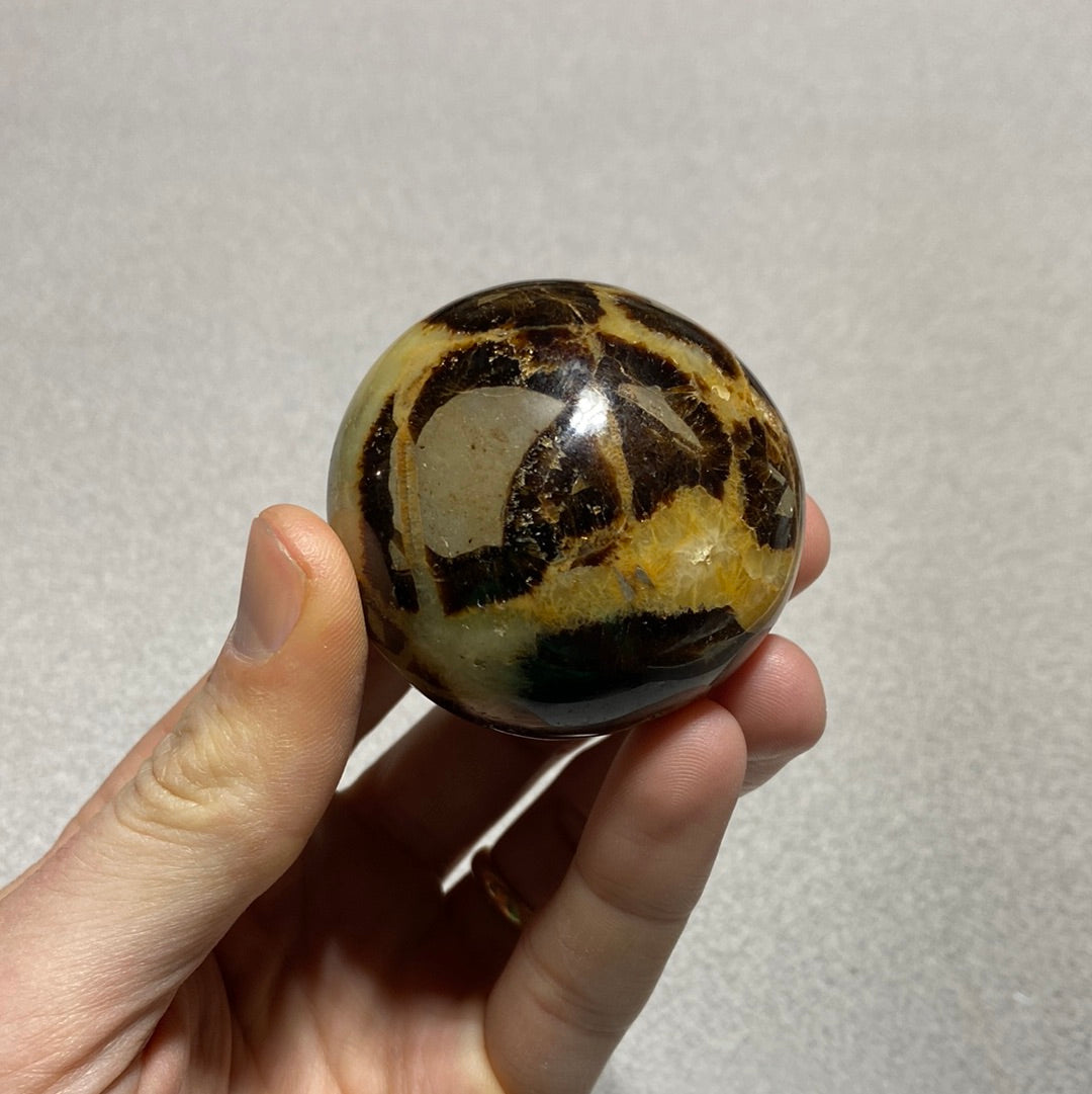 Septarian – A Crystal Journey